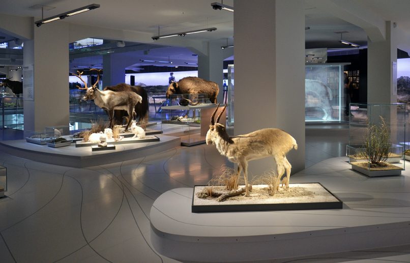 Chemnitz, Staatliches Museum für Archäologie (State Museum for ...